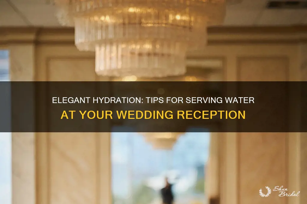 Elegant Hydration: Tips For Serving Water At Your Wedding Reception ...
