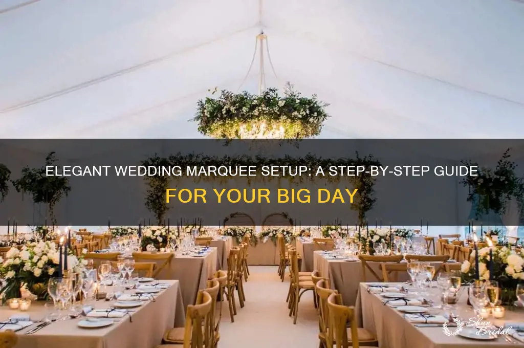 Elegant Wedding Marquee Setup: A Step-By-Step Guide For Your Big Day ...