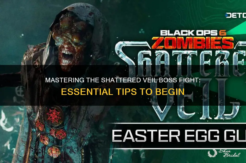 Mastering The Shattered Veil Boss Fight: Essential Tips To Begin ...