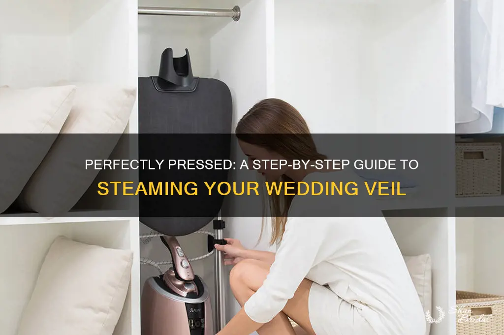 Perfectly Pressed: A Step-By-Step Guide To Steaming Your Wedding Veil ...
