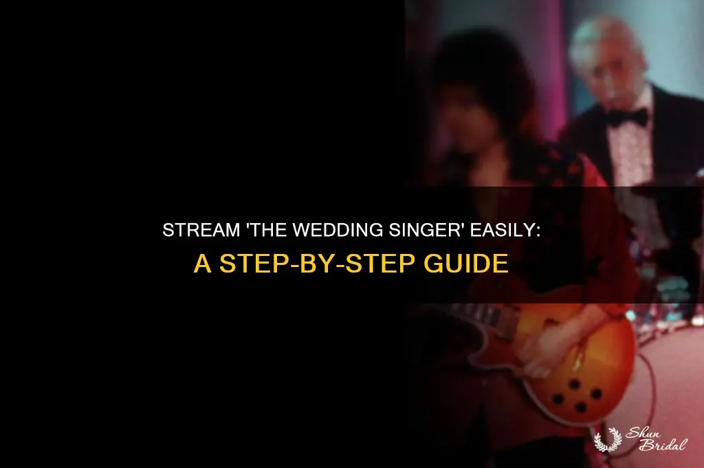 Stream 'The Wedding Singer' Easily: A Step-By-Step Guide | ShunBridal