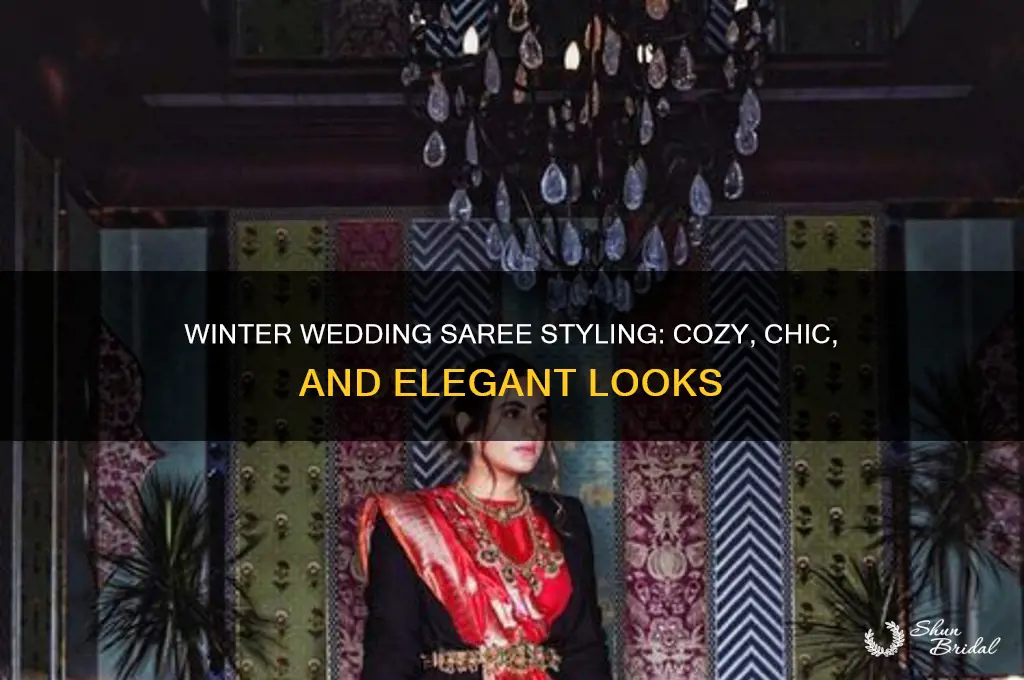 Winter Wedding Saree Styling: Cozy, Chic, And Elegant Looks | ShunBridal