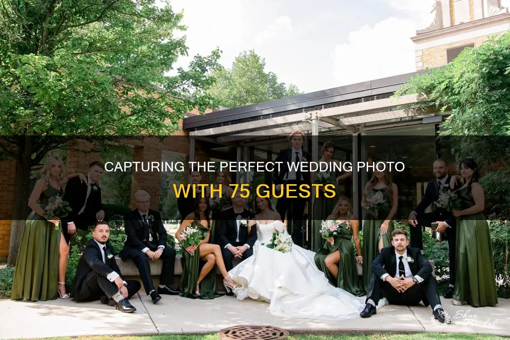 Capturing The Perfect Wedding Photo With 75 Guests | ShunBridal