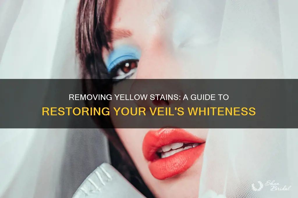 Removing Yellow Stains: A Guide To Restoring Your Veil's Whiteness ...