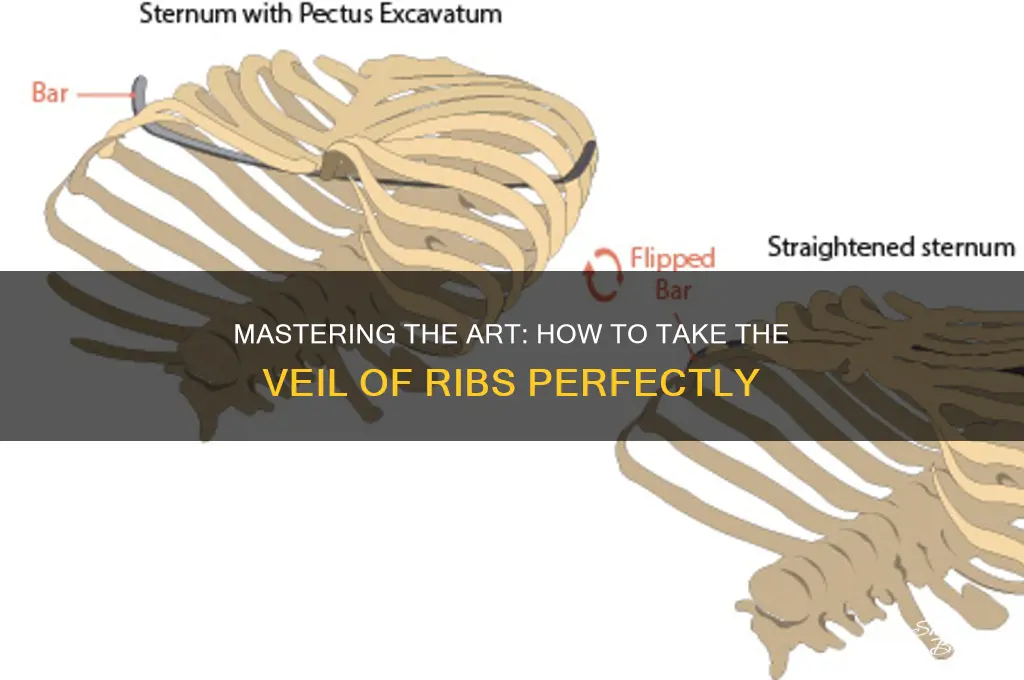 Mastering The Art: How To Take The Veil Of Ribs Perfectly | ShunBridal