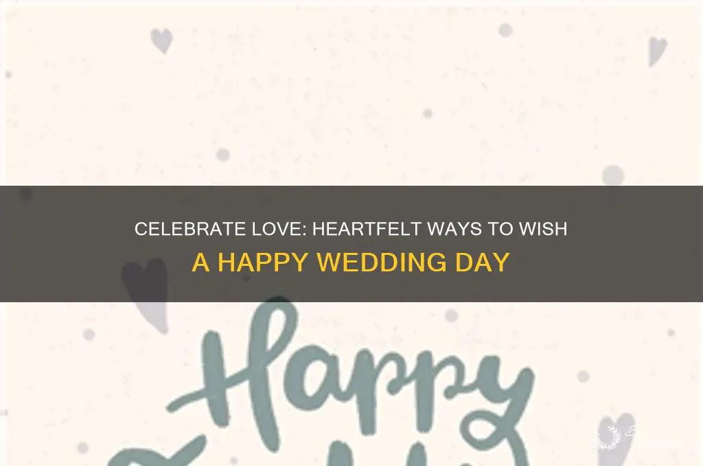 Celebrate Love: Heartfelt Ways To Wish A Happy Wedding Day | ShunBridal