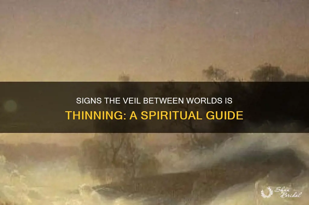 Signs The Veil Between Worlds Is Thinning: A Spiritual Guide | ShunBridal