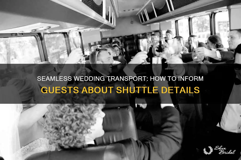 Seamless Wedding Transport: How To Inform Guests About Shuttle Details ...