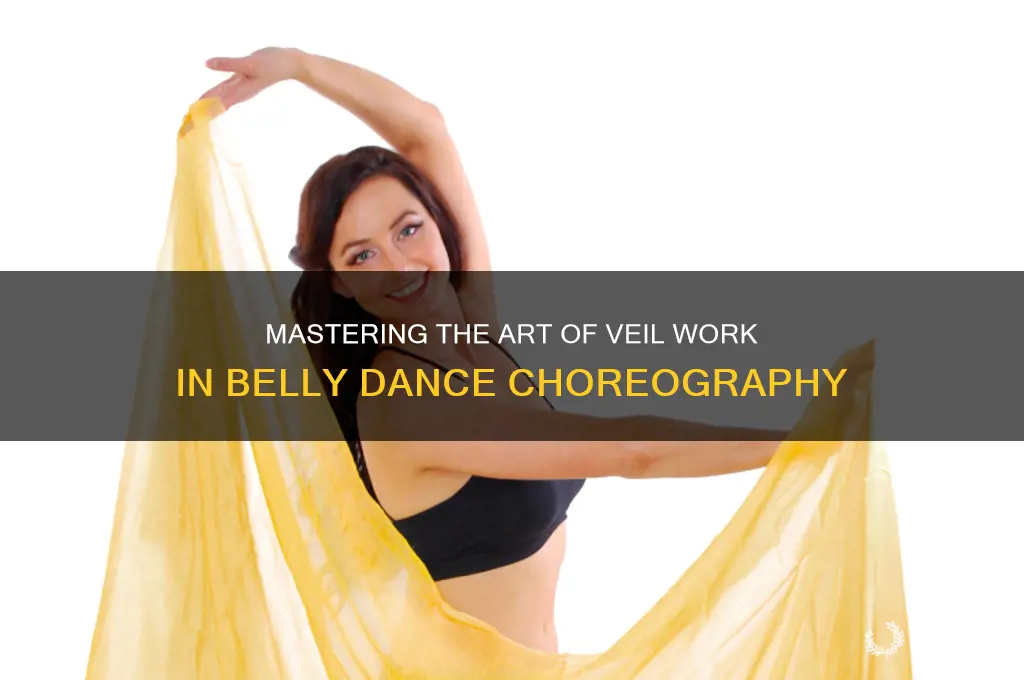 Mastering The Art Of Veil Work In Belly Dance Choreography | ShunBridal