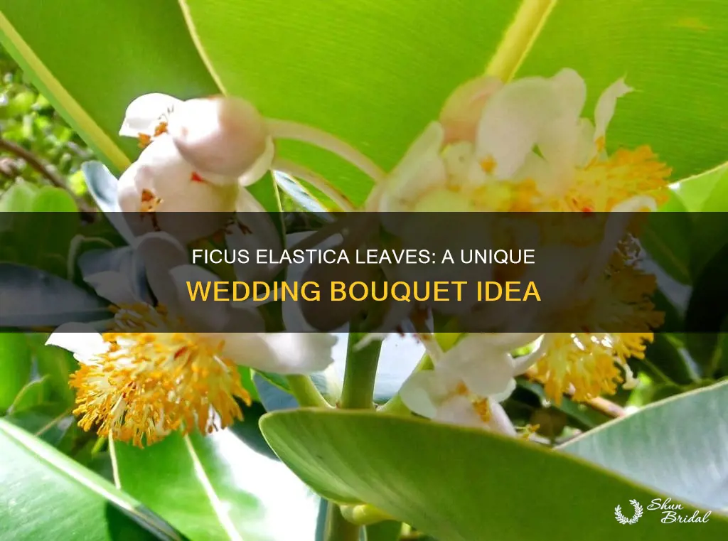 Ficus Elastica Leaves: A Unique Wedding Bouquet Idea | ShunBridal