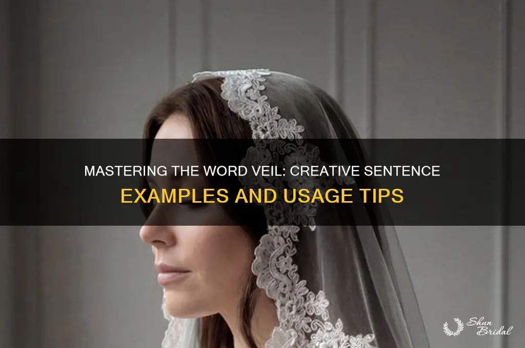 Mastering The Word Veil: Creative Sentence Examples And Usage Tips ...
