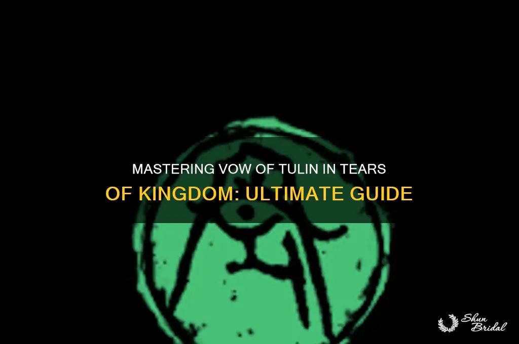 Mastering Vow Of Tulin In Tears Of Kingdom: Ultimate Guide | ShunBridal