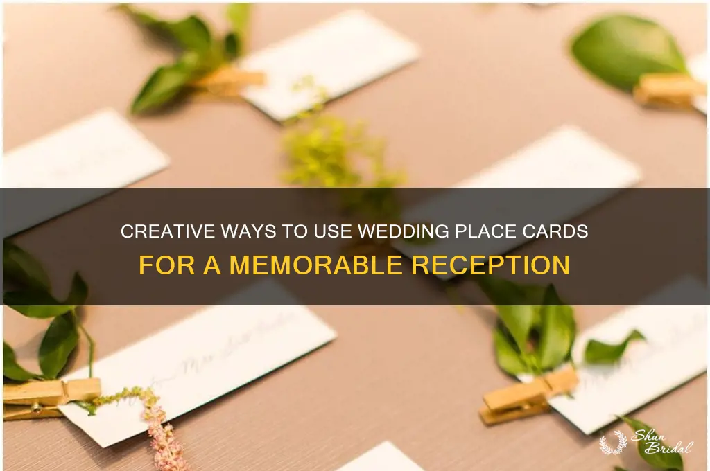 Creative Ways To Use Wedding Place Cards For A Memorable Reception ...