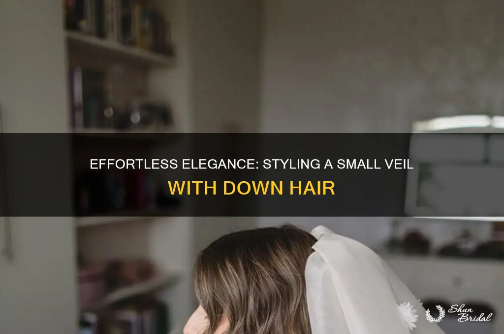 Effortless Elegance: Styling A Small Veil With Down Hair | ShunBridal