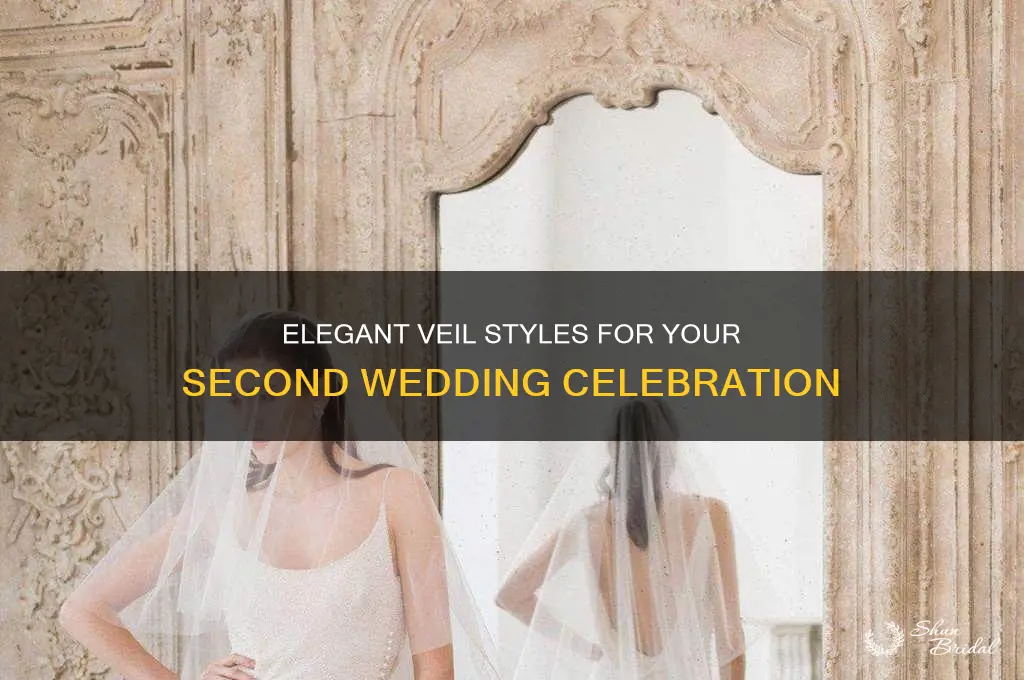 Elegant Veil Styles For Your Second Wedding Celebration | ShunBridal
