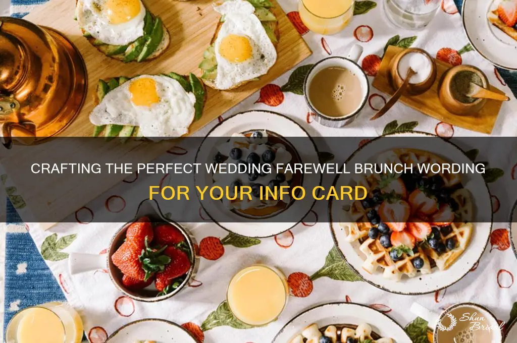 Crafting The Perfect Wedding Farewell Brunch Wording For Your Info Card ...