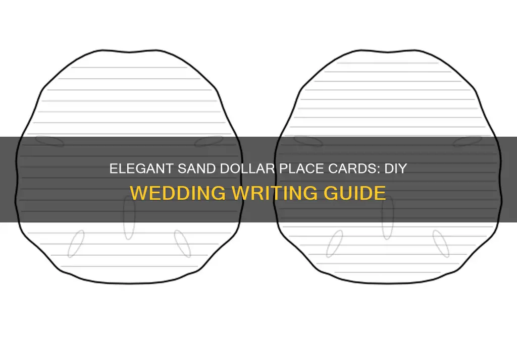 Elegant Sand Dollar Place Cards: Diy Wedding Writing Guide | ShunBridal