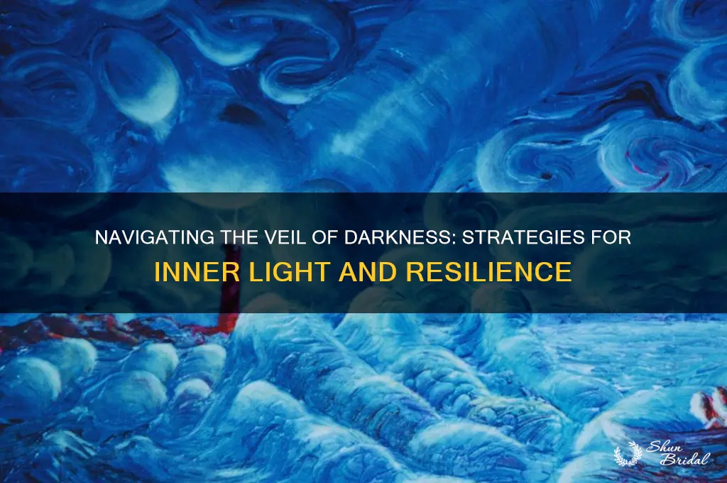 Navigating The Veil Of Darkness: Strategies For Inner Light And ...