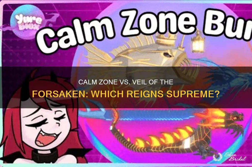 Calm Zone Vs. Veil Of The Forsaken: Which Reigns Supreme? | ShunBridal