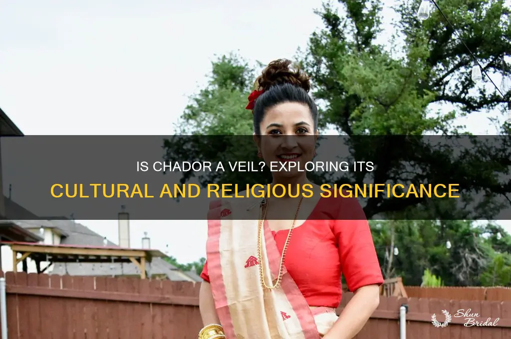 Is Chador A Veil? Exploring Its Cultural And Religious Significance ...