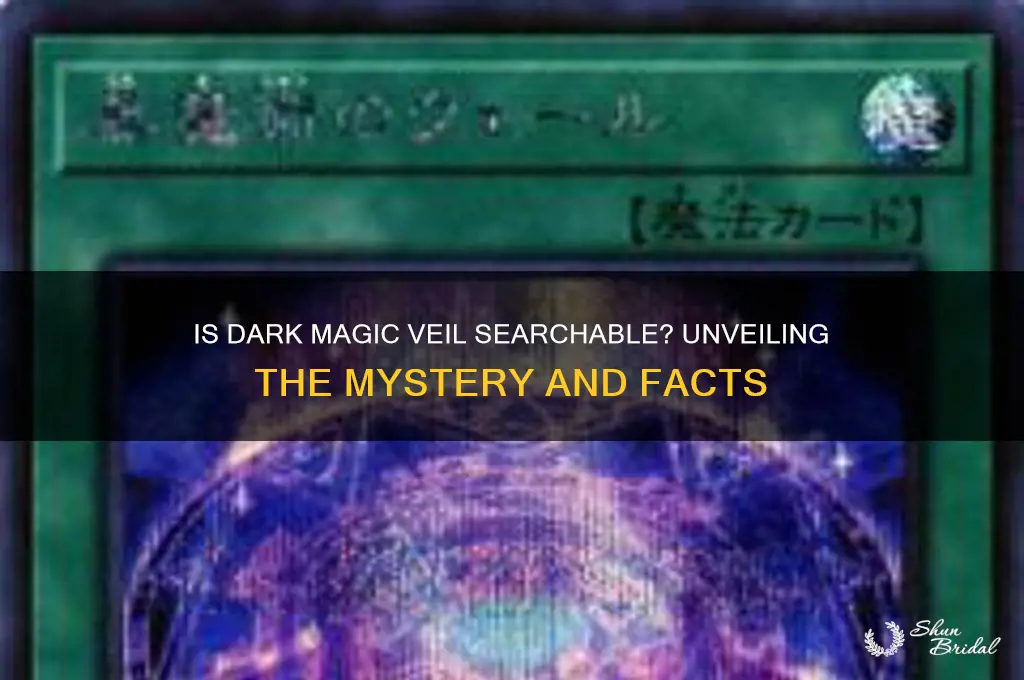 Is Dark Magic Veil Searchable? Unveiling The Mystery And Facts | ShunBridal