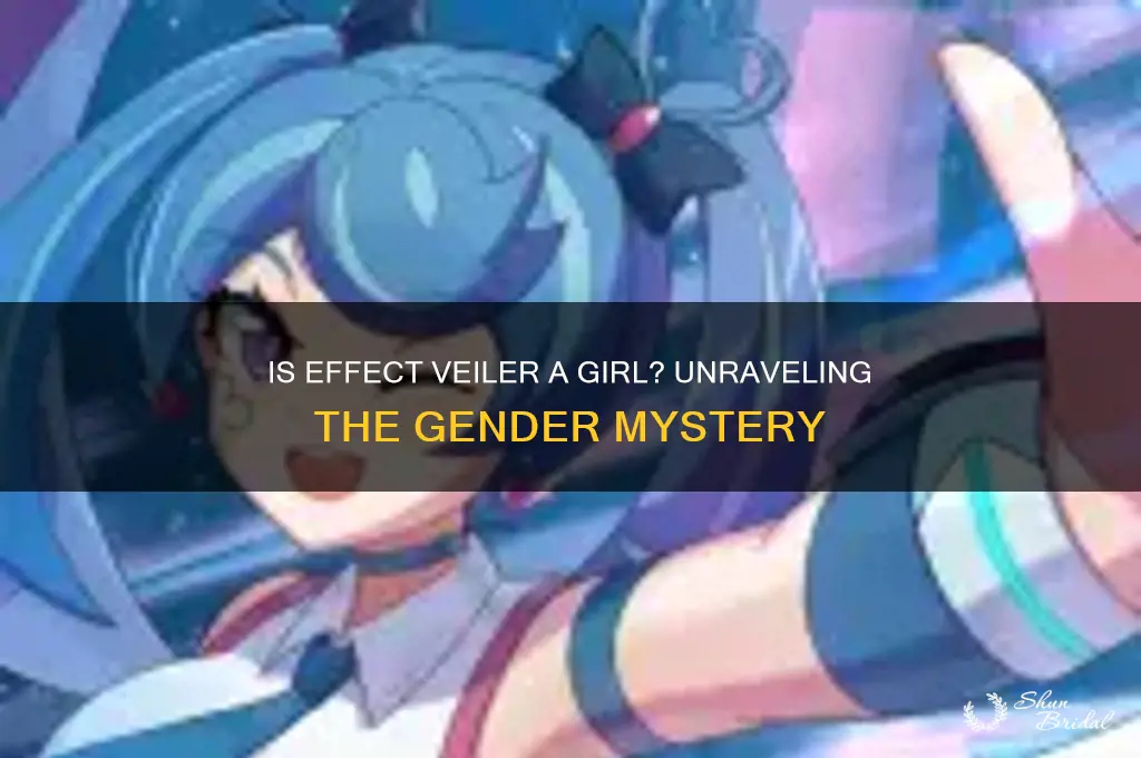 Is Effect Veiler A Girl? Unraveling The Gender Mystery | ShunBridal