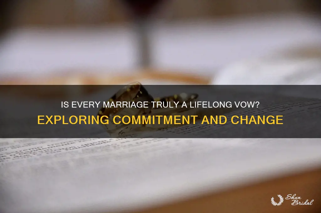 Is Every Marriage Truly A Lifelong Vow? Exploring Commitment And Change ...