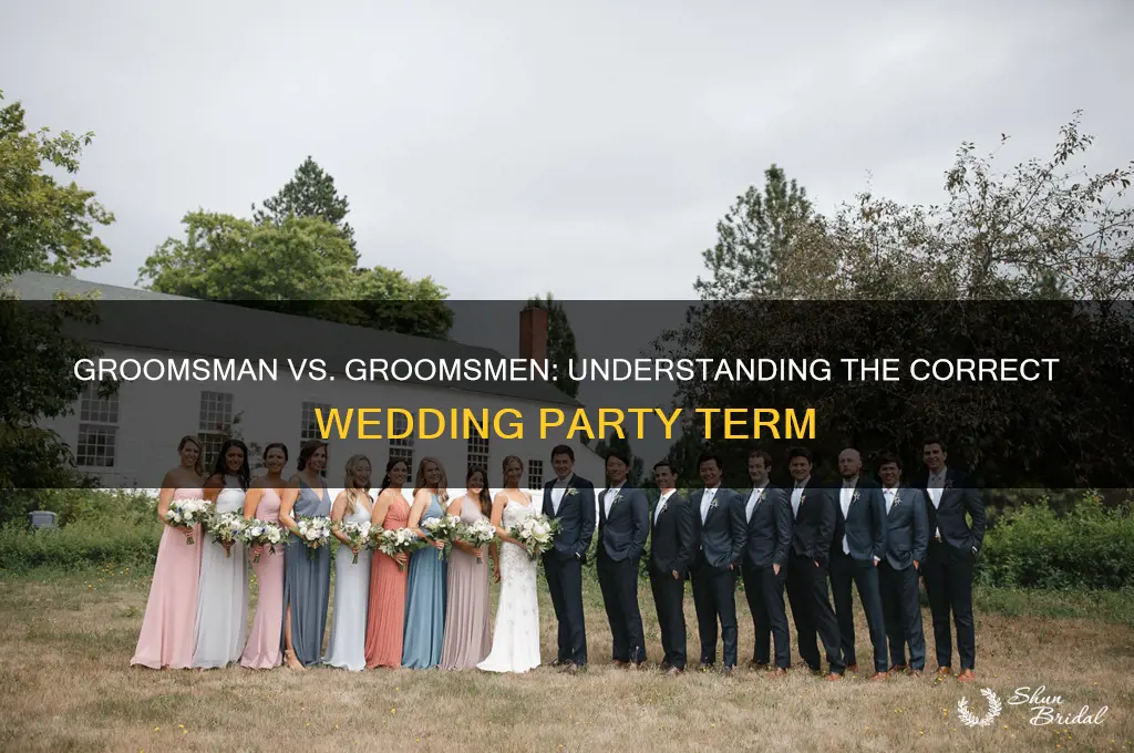 Groomsman Vs. Groomsmen: Understanding The Correct Wedding Party Term ...
