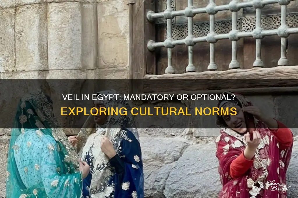 Veil In Egypt: Mandatory Or Optional? Exploring Cultural Norms | ShunBridal