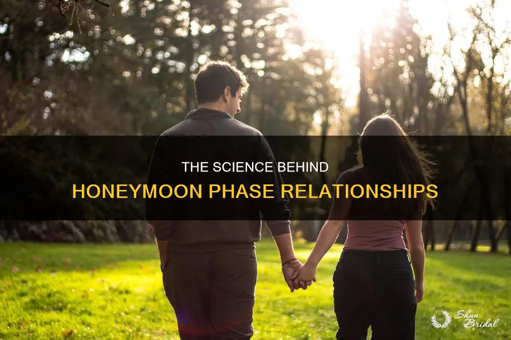 The Science Behind Honeymoon Phase Relationships | ShunBridal