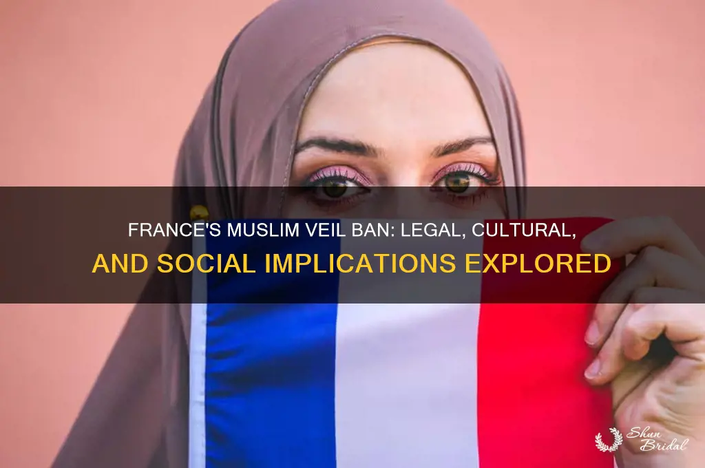 France's Muslim Veil Ban: Legal, Cultural, And Social Implications ...
