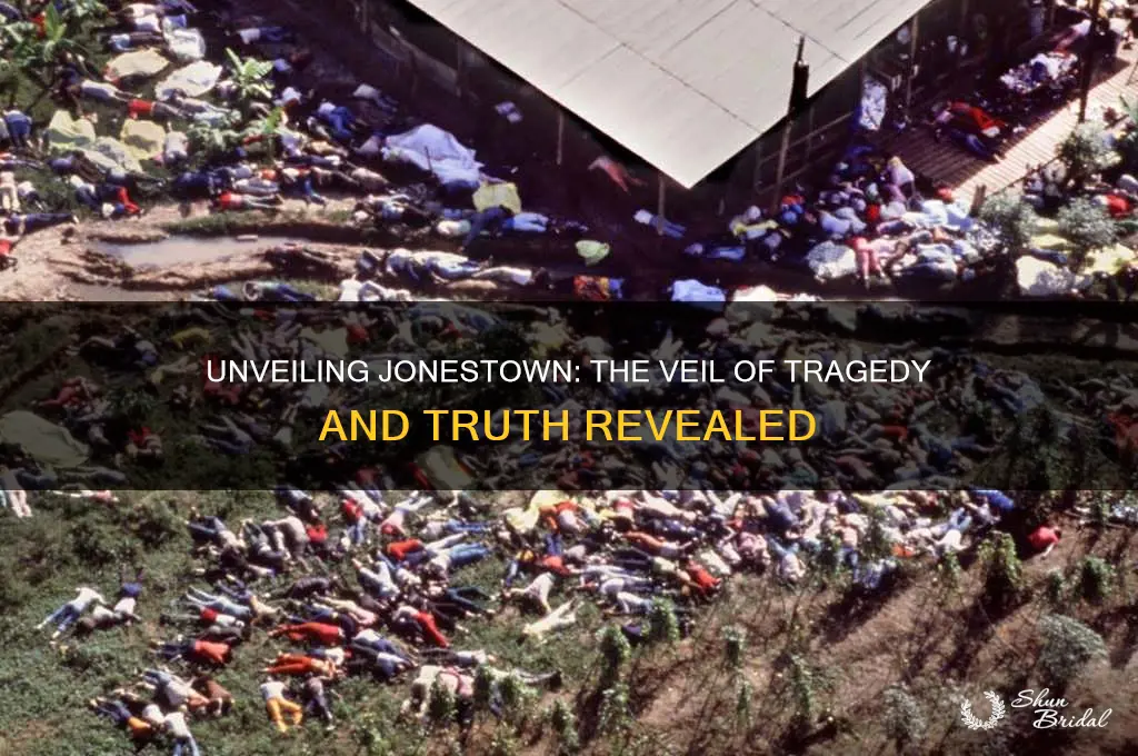 Unveiling Jonestown: The Veil Of Tragedy And Truth Revealed | ShunBridal