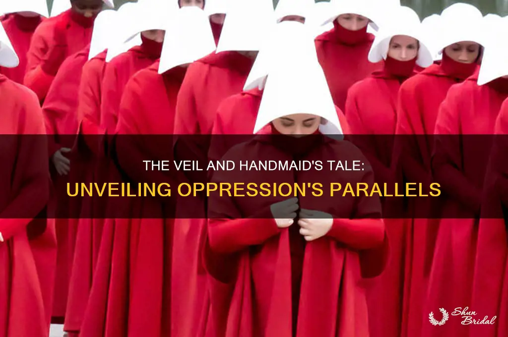 The Veil And Handmaid's Tale: Unveiling Oppression's Parallels | ShunBridal