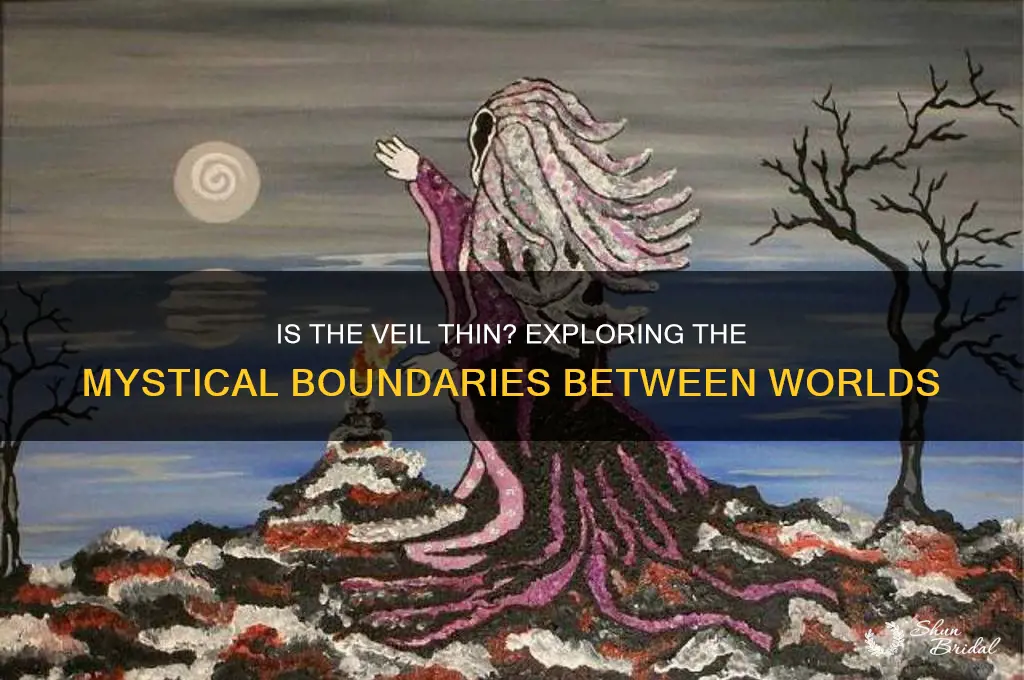 Is The Veil Thin? Exploring The Mystical Boundaries Between Worlds ...