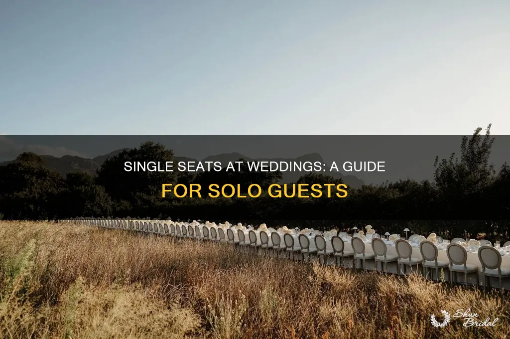 Single Seats At Weddings: A Guide For Solo Guests | ShunBridal
