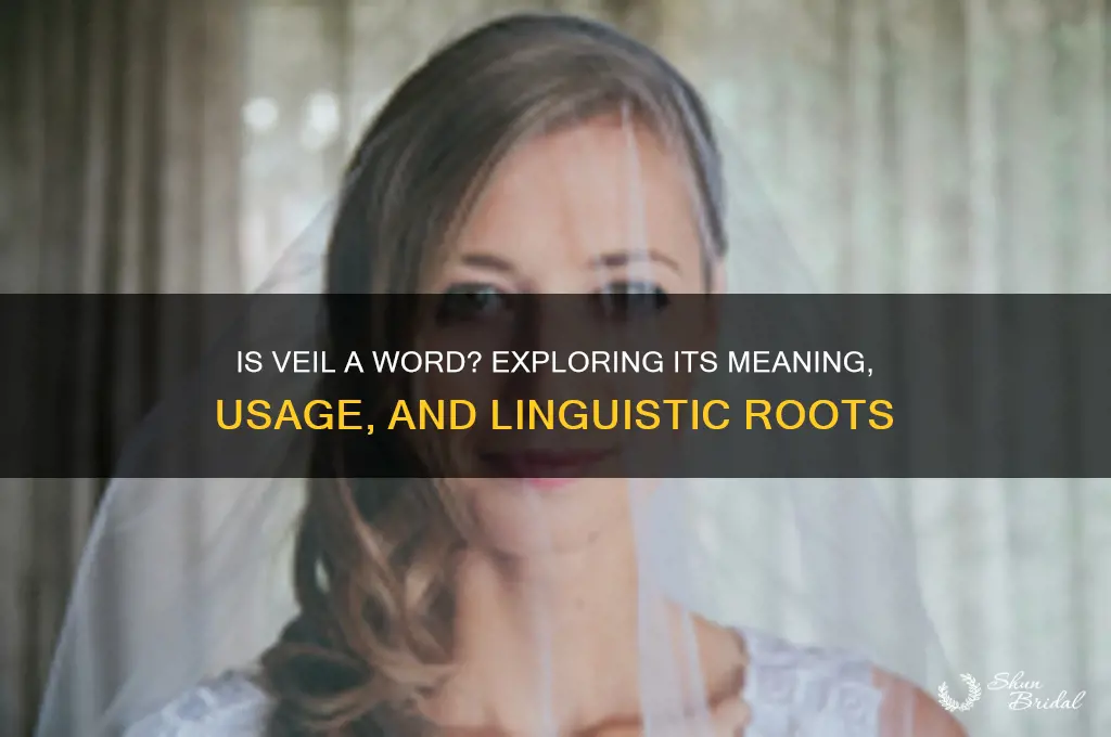Is Veil A Word? Exploring Its Meaning, Usage, And Linguistic Roots ...