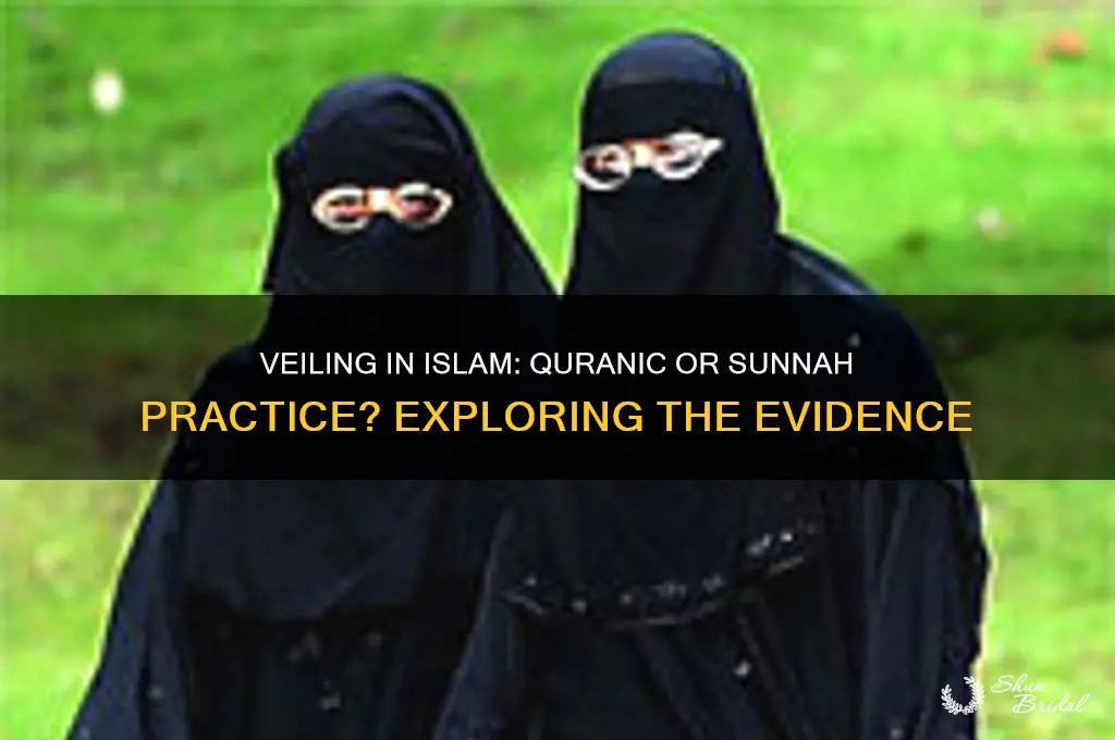 Veiling In Islam: Quranic Or Sunnah Practice? Exploring The Evidence ...