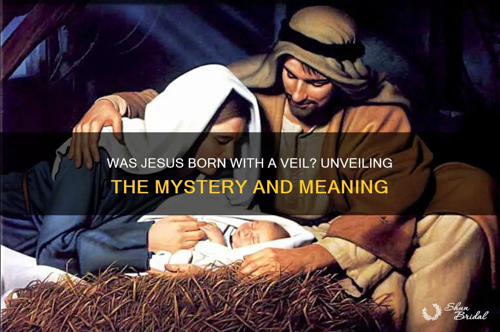 Was Jesus Born With A Veil? Unveiling The Mystery And Meaning | ShunBridal