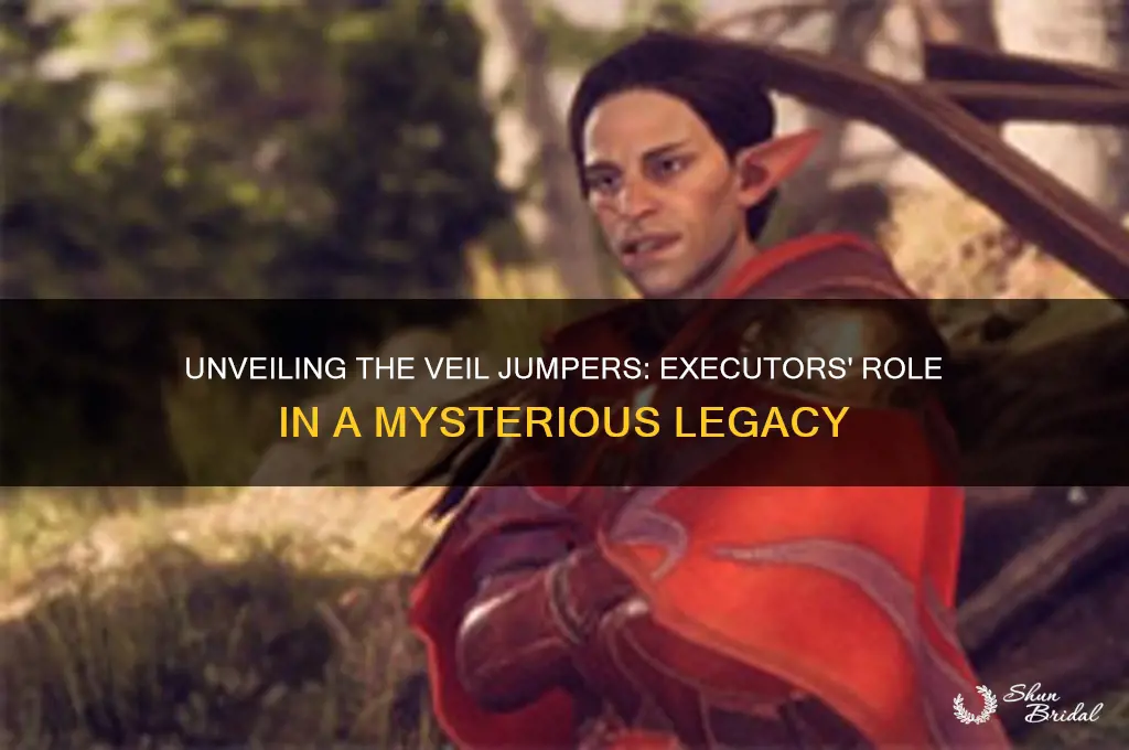 Unveiling The Veil Jumpers: Executors' Role In A Mysterious Legacy ...
