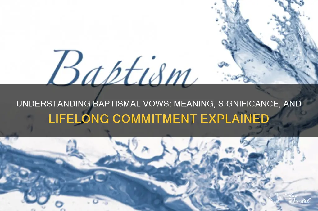 Understanding Baptismal Vows: Meaning, Significance, And Lifelong ...