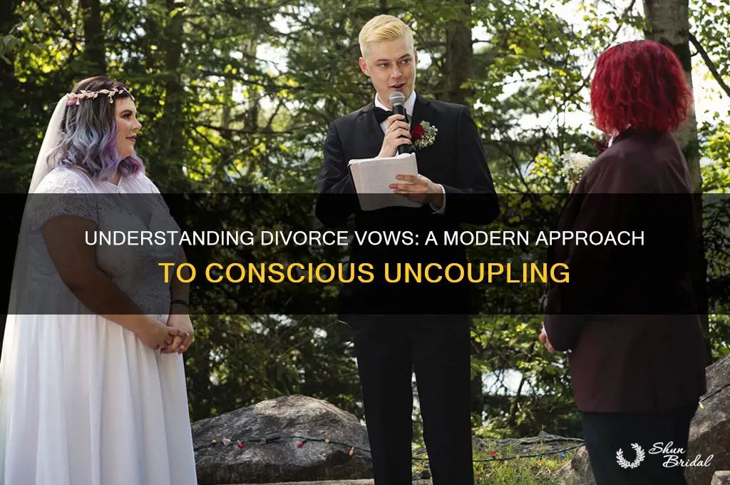 Understanding Divorce Vows: A Modern Approach To Conscious Uncoupling ...