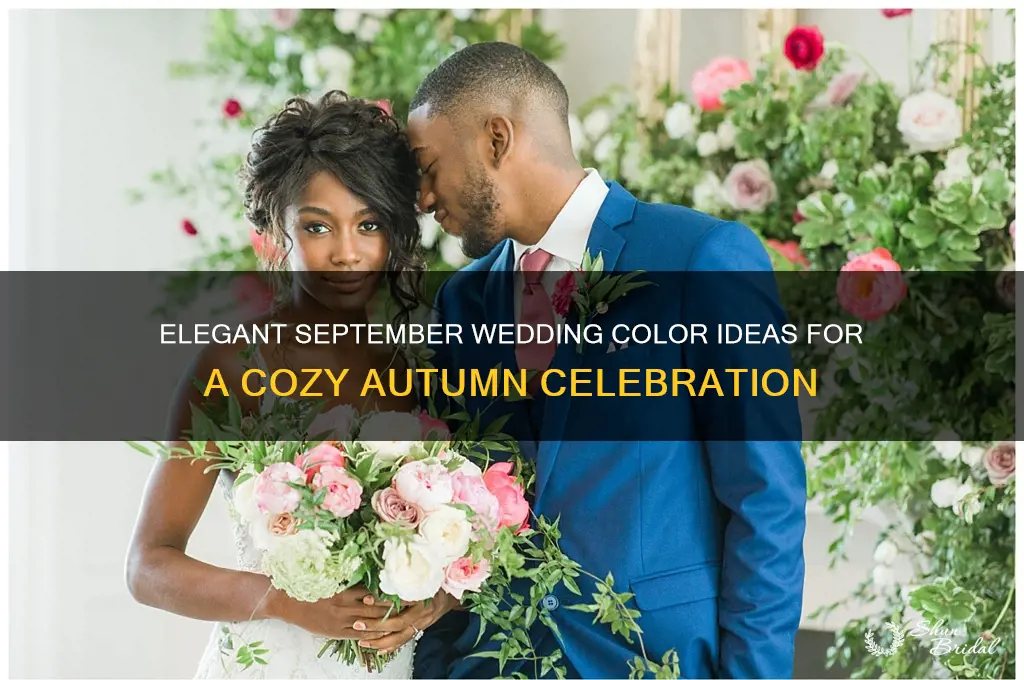 Elegant September Wedding Color Ideas For A Cozy Autumn Celebration ...