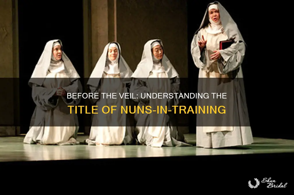 Before The Veil: Understanding The Title Of Nuns-In-Training | ShunBridal