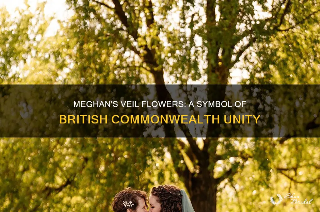 Meghan's Veil Flowers: A Symbol Of British Commonwealth Unity | ShunBridal