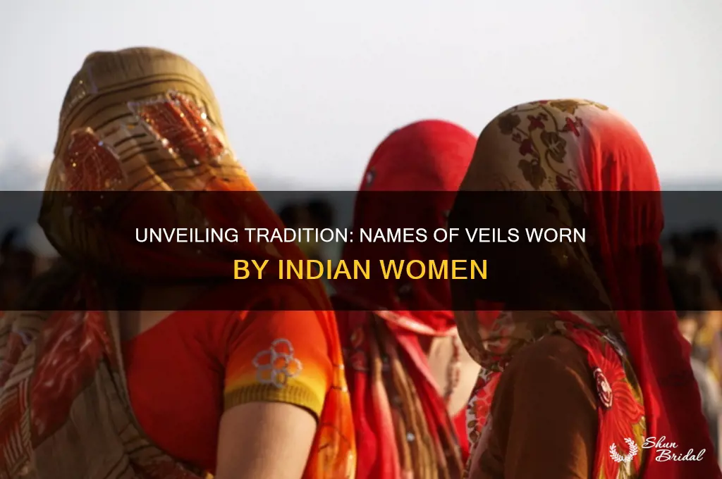 Unveiling Tradition: Names Of Veils Worn By Indian Women | ShunBridal