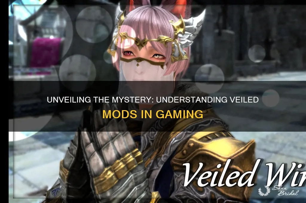 Unveiling The Mystery: Understanding Veiled Mods In Gaming | ShunBridal