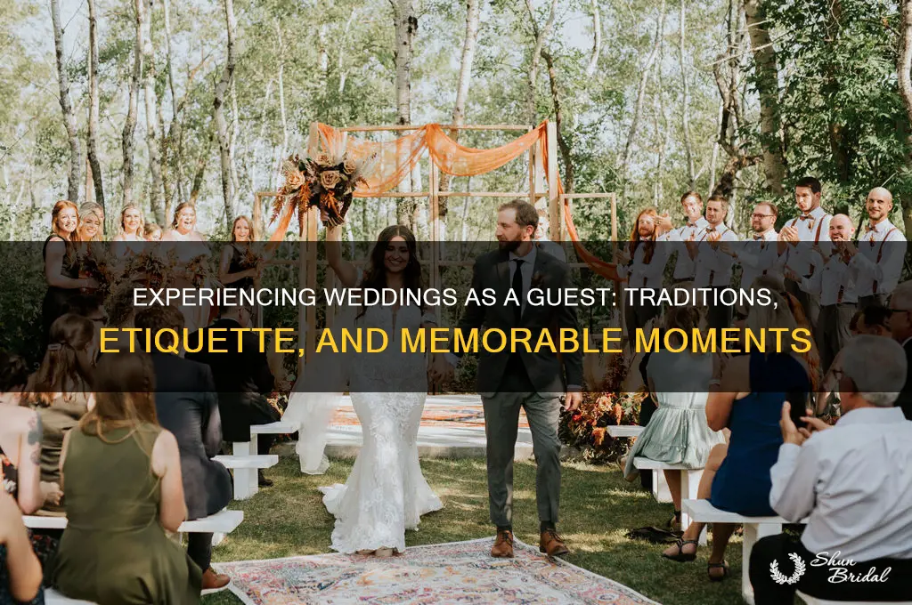 Experiencing Weddings As A Guest: Traditions, Etiquette, And Memorable ...