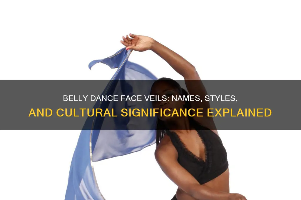 Belly Dance Face Veils: Names, Styles, And Cultural Significance ...
