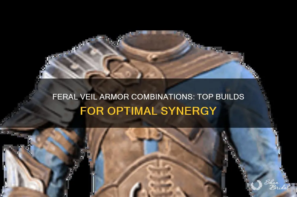 Feral Veil Armor Combinations: Top Builds For Optimal Synergy | ShunBridal