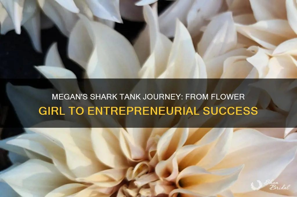 Megan's Shark Tank Journey: From Flower Girl To Entrepreneurial Success ...